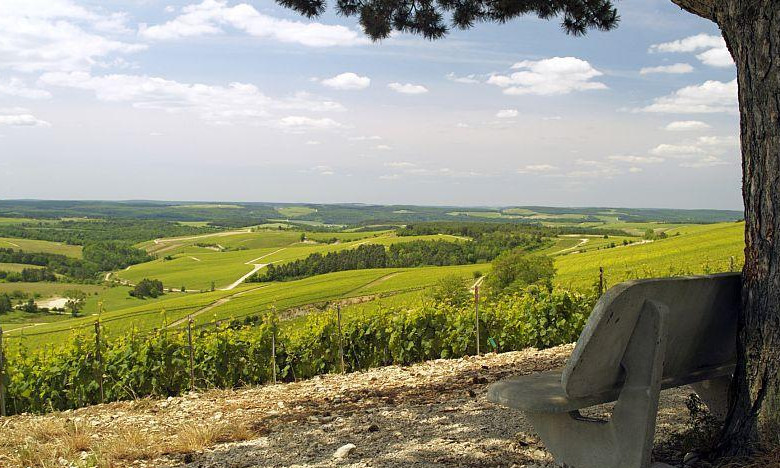 UNESCO vyznamenalo vinařské tradice krajů Champagne a Burgundska